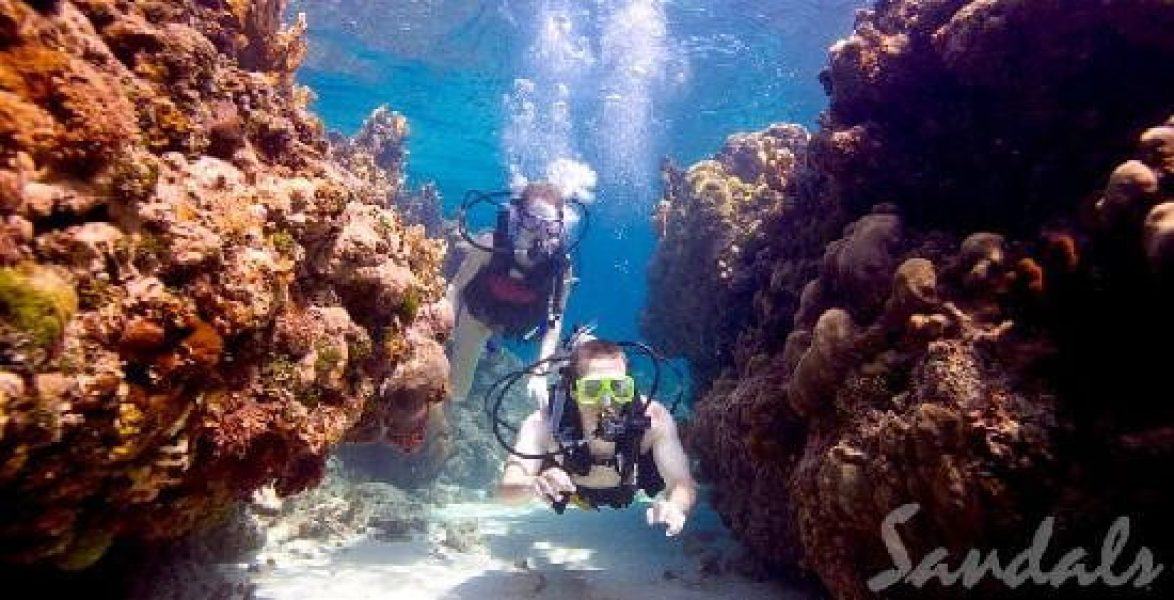 Sandals Royal Caribbean Wedding | Liz Moore Destination Weddings